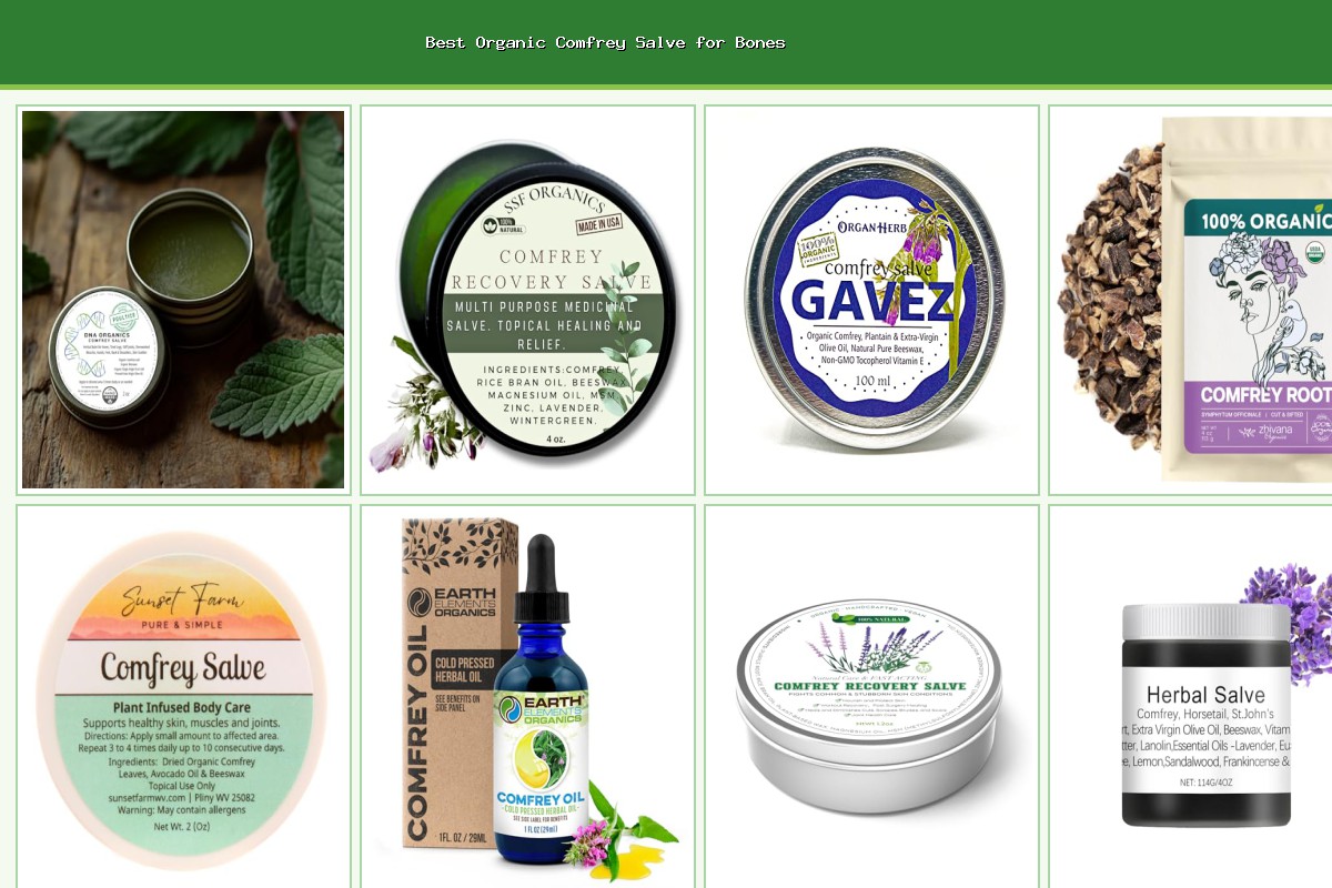 Best Organic Comfrey Salve for Bones | October 14, 2025